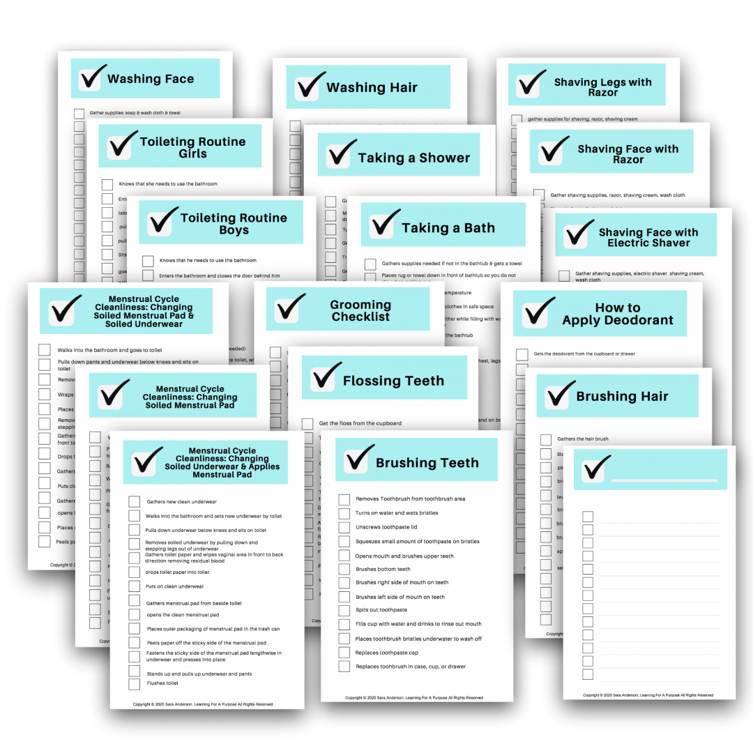 Personal Hygiene Monitoring Checklist at Muriel Howard blog