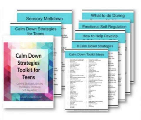The Mega Bundle of Functional Life Skills Resources for Teens and ...