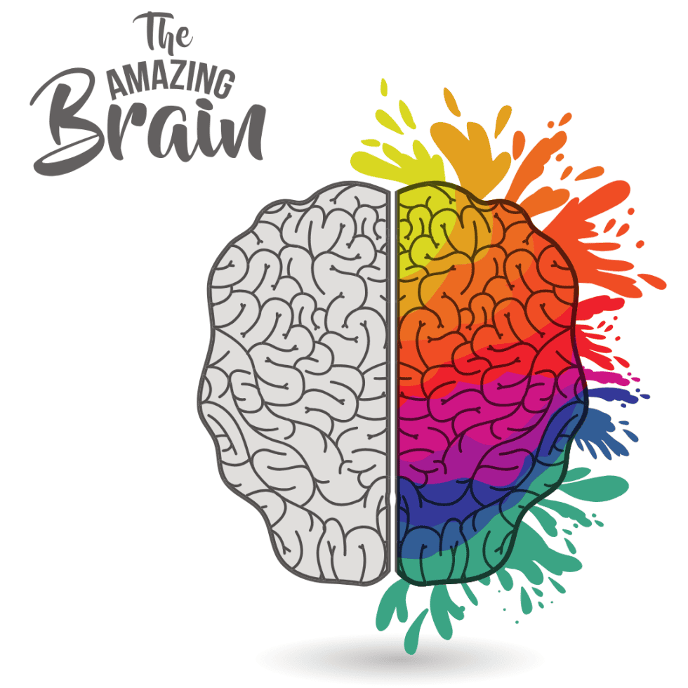 Neurodiversity Affirming Occupational Therapy Practices - Learning For ...